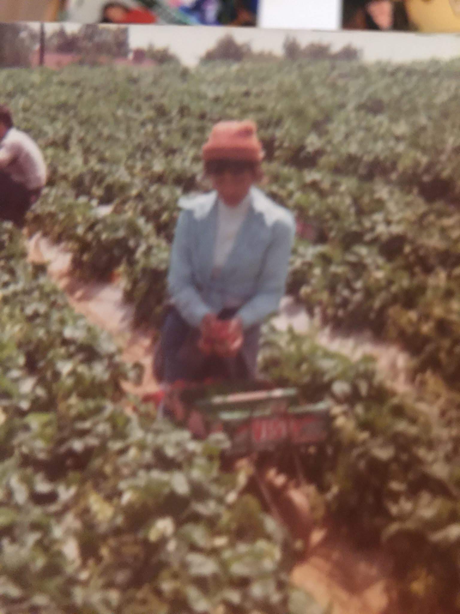 7.3 The Imperfect Past Tense – Laclasedeespañol.com